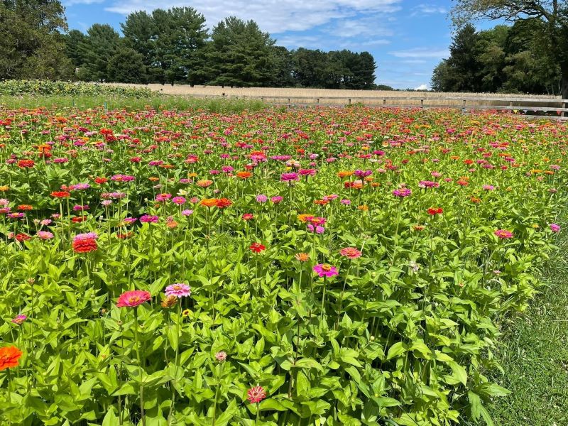 New Jersey Expands Community Solar Program | NASEO